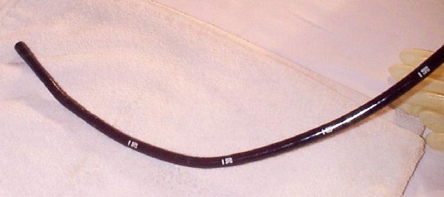 Rachel's Sigmoidoscopy